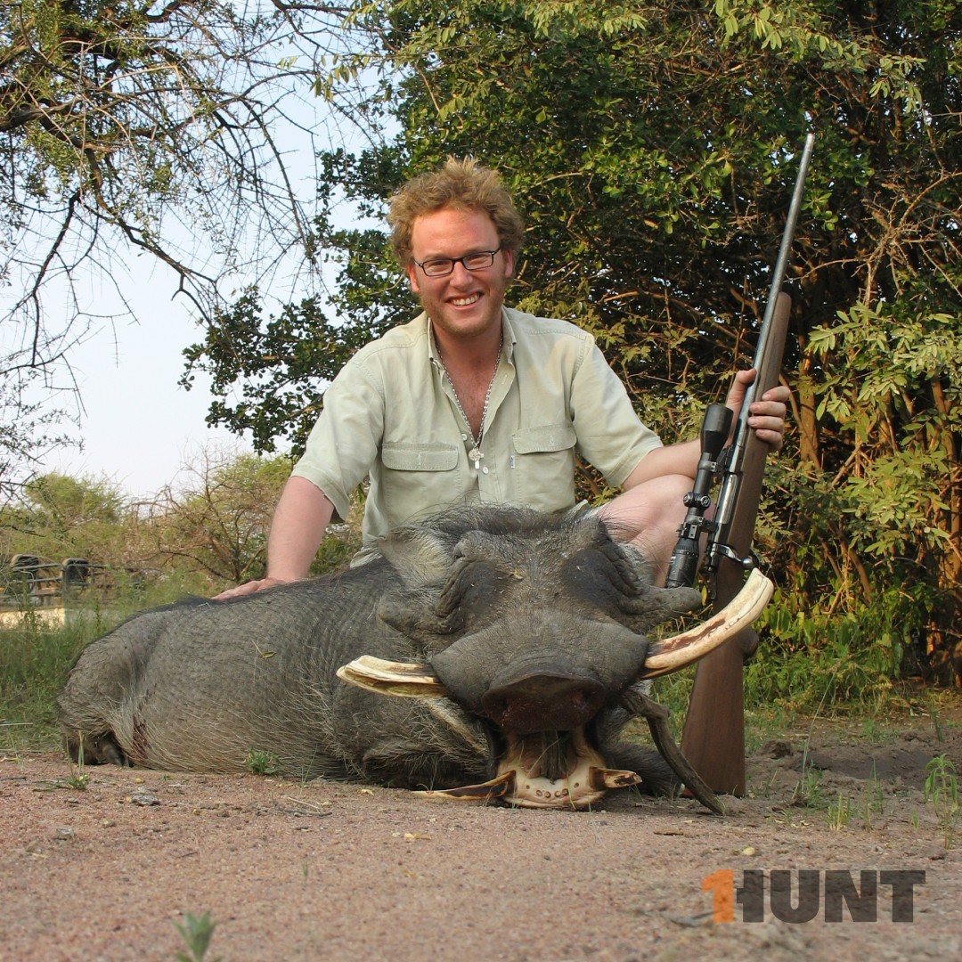 Hunting Warthog